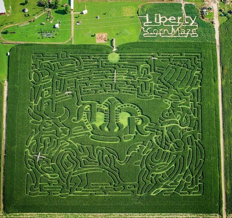 Liberty Corn Maze | Family-Owned & Operated Since 2004
